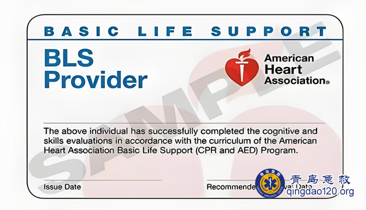 2025年美国AHA 拯救心脏（HS）、基础生命支持（BLS）培训班开启招生！-青岛市急救中心官方网站